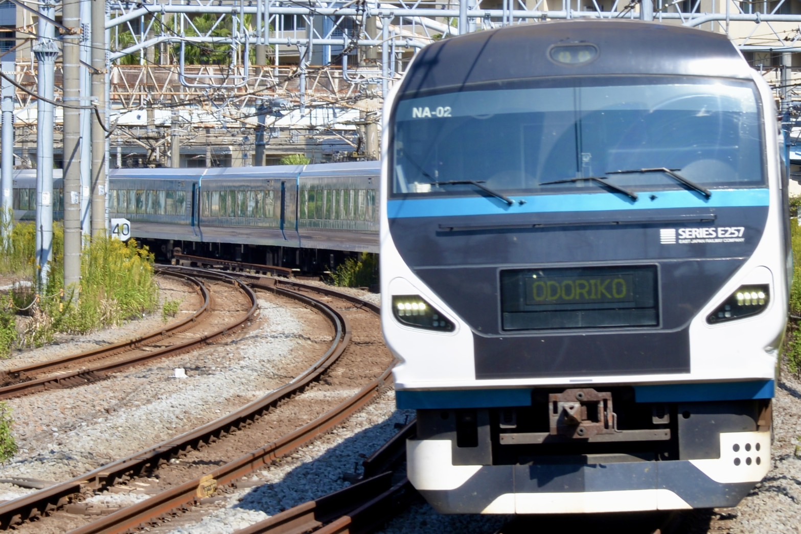 在来線車両（特急形） - JR東日本Wiki（工事中） | 尺束ウィキ - atwiki（アットウィキ）