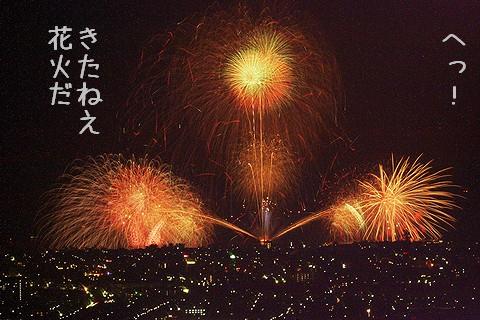 MPK_MAG @ wiki - atwiki（アットウィキ）