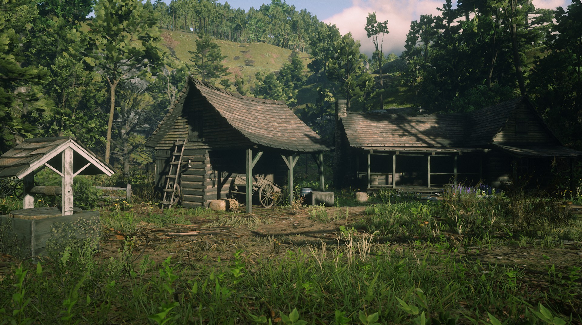 Willard's Rest - RED DEAD REDEMPTION 2 情報&攻略@ wiki | RDR2 - atwiki（アットウィキ）