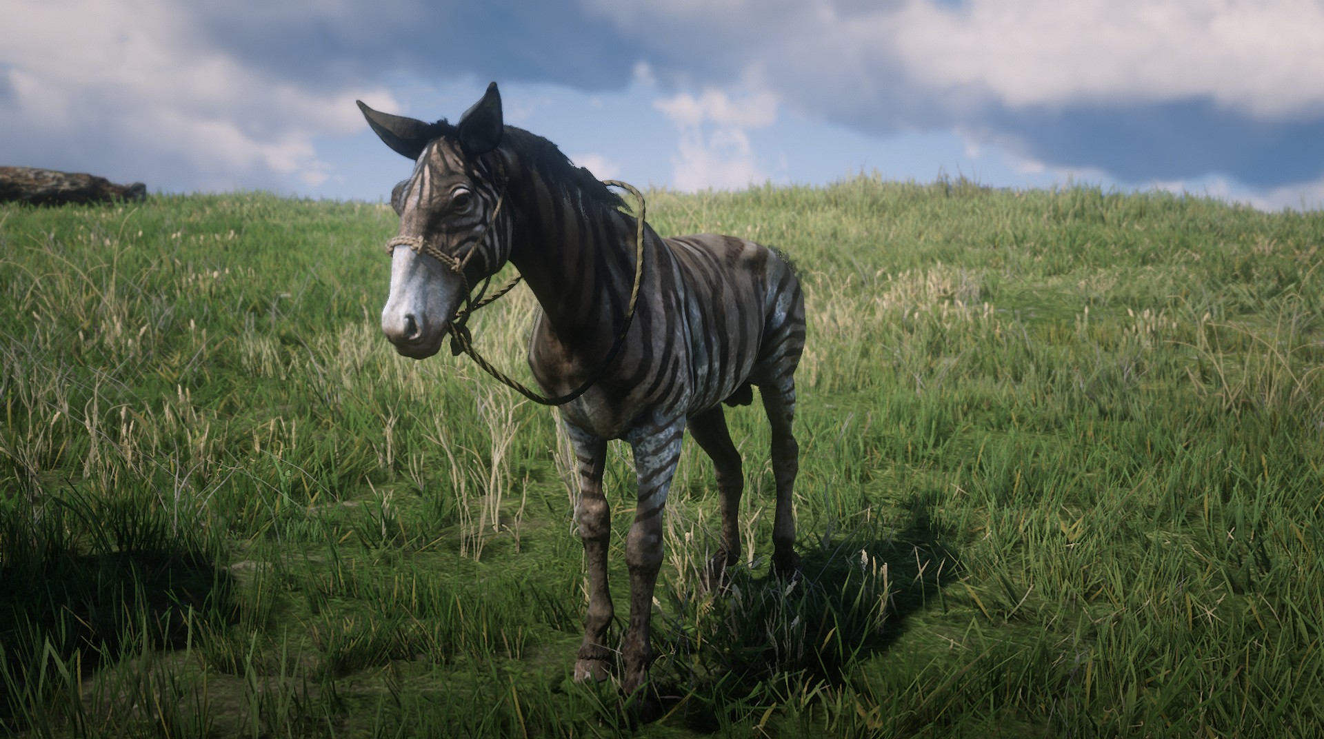 Mule - RED DEAD REDEMPTION 2 情報&攻略@ wiki | RDR2 - atwiki（アットウィキ）