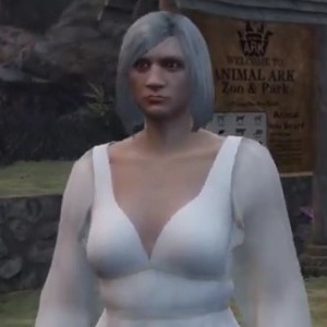 ナイチン ガール - ストグラ まとめ @ウィキ | STGR wiki - atwiki（アットウィキ）