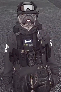 犬 ルリ - ストグラ まとめ @ウィキ | STGR wiki - atwiki（アットウィキ）