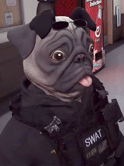 犬 ルリ - ストグラ まとめ @ウィキ | STGR wiki - atwiki（アットウィキ）