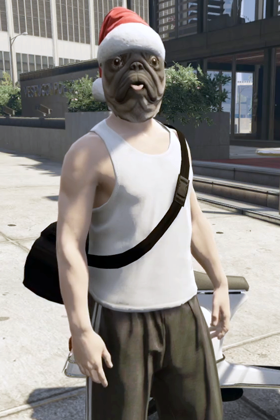 犬 ルリ - ストグラ まとめ @ウィキ | STGR wiki - atwiki（アットウィキ）